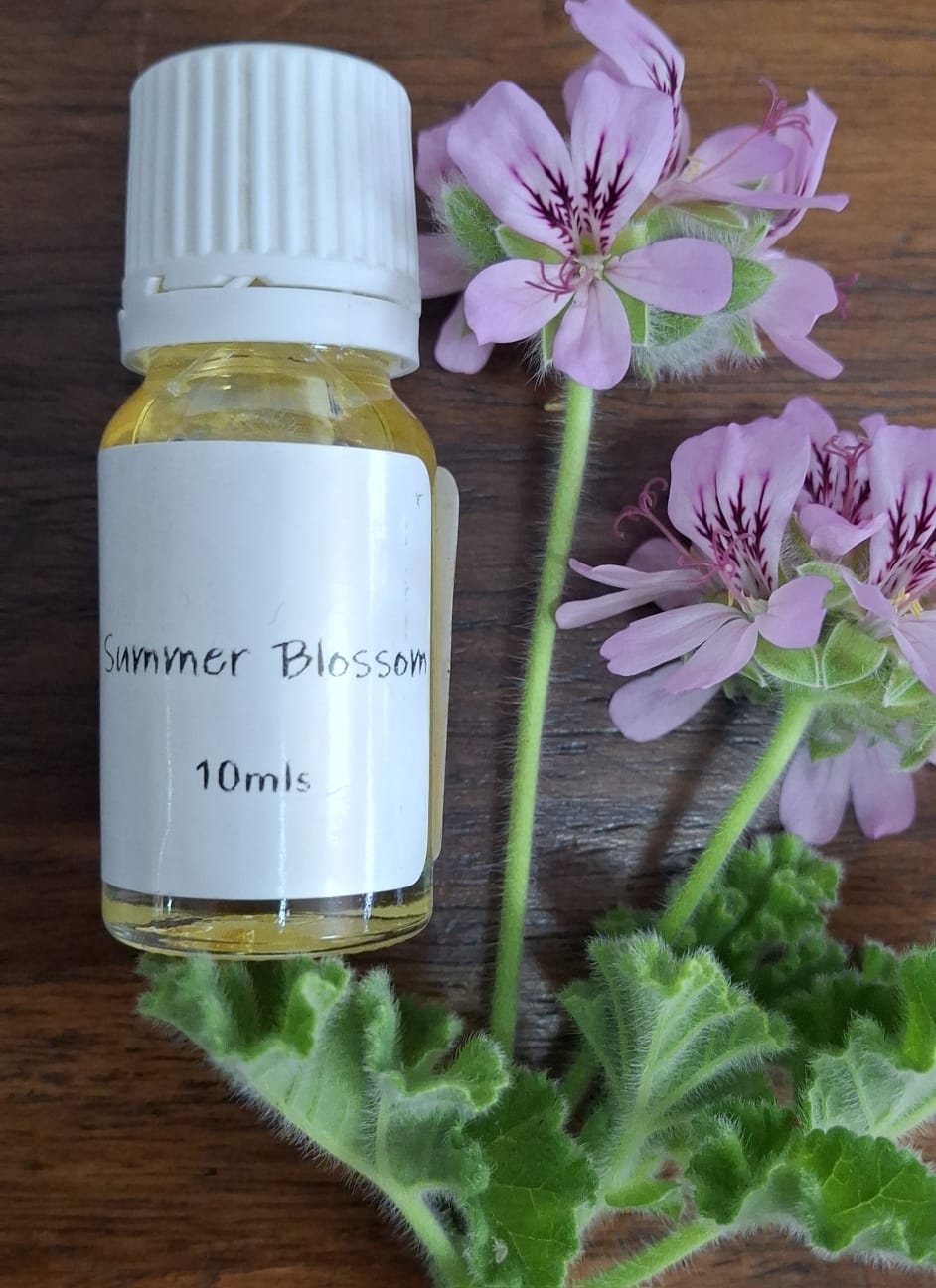 Summer Blossom Potpourri Oil – Heavenly Healing