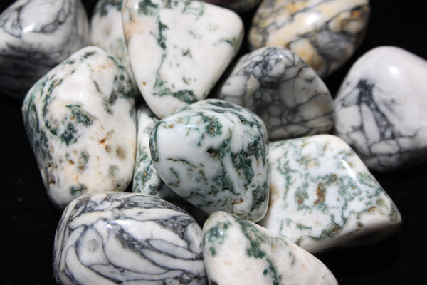 Agate - Tree – Heavenly Healing